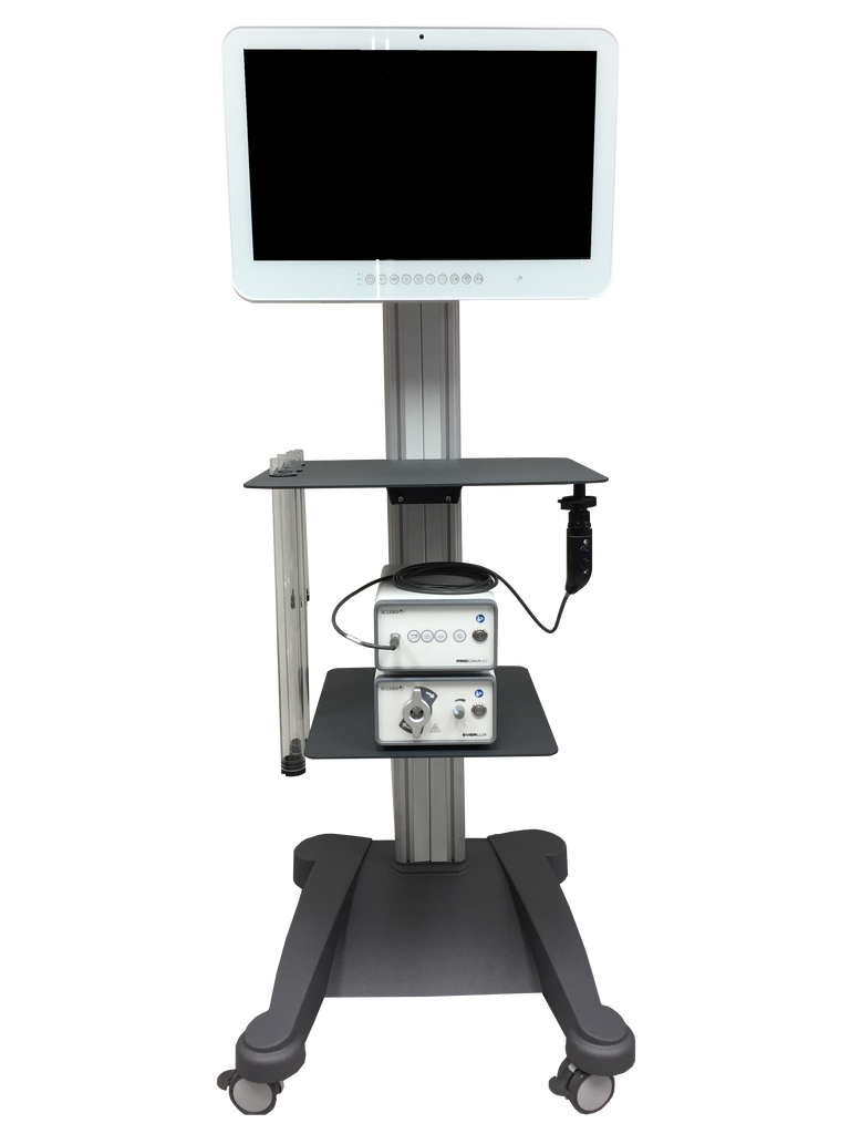 Item Number: EUSA-LF1 (HD) - Live Feed Full HD Video Endoscopy System ...
